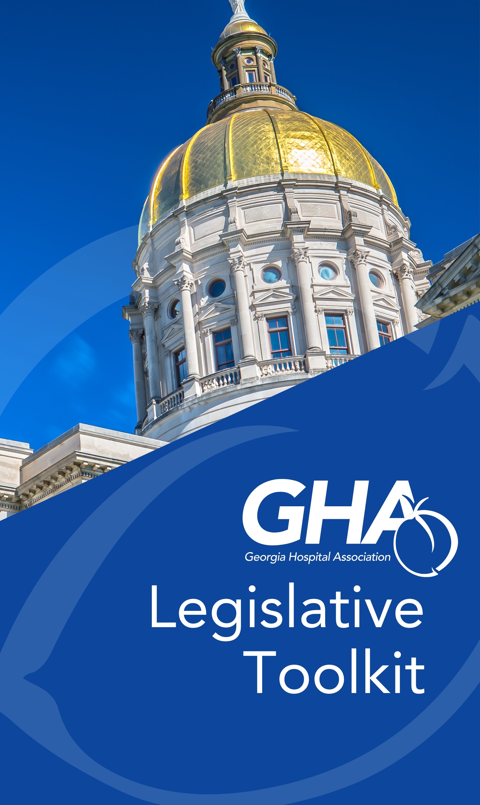 Georgia Hospital Association